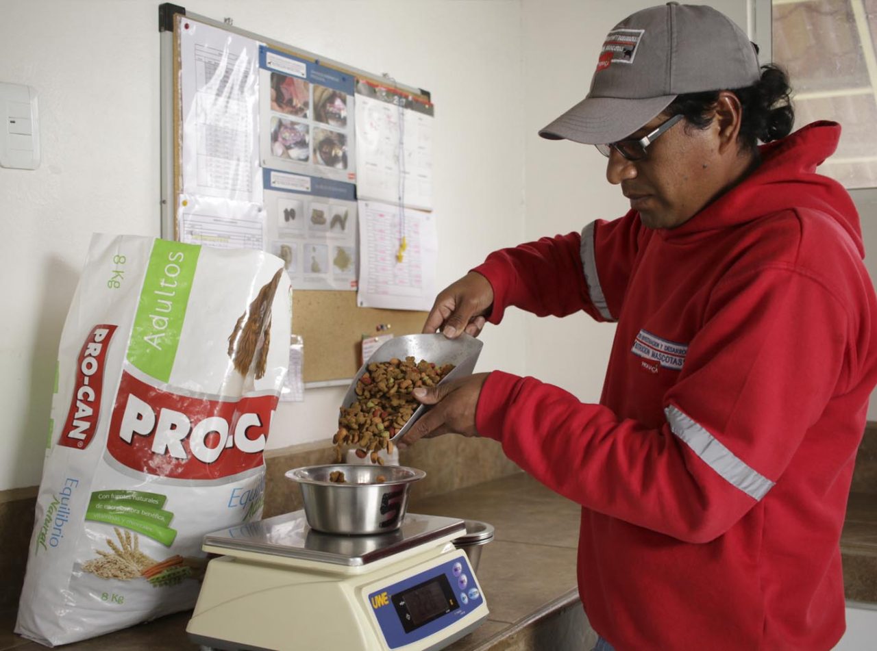 Pronaca – Más 65 años de experiencia en el mercado ecuatoriano ...